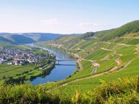 Impressionen - Campingplatz "Im Grünen" Trittenheim